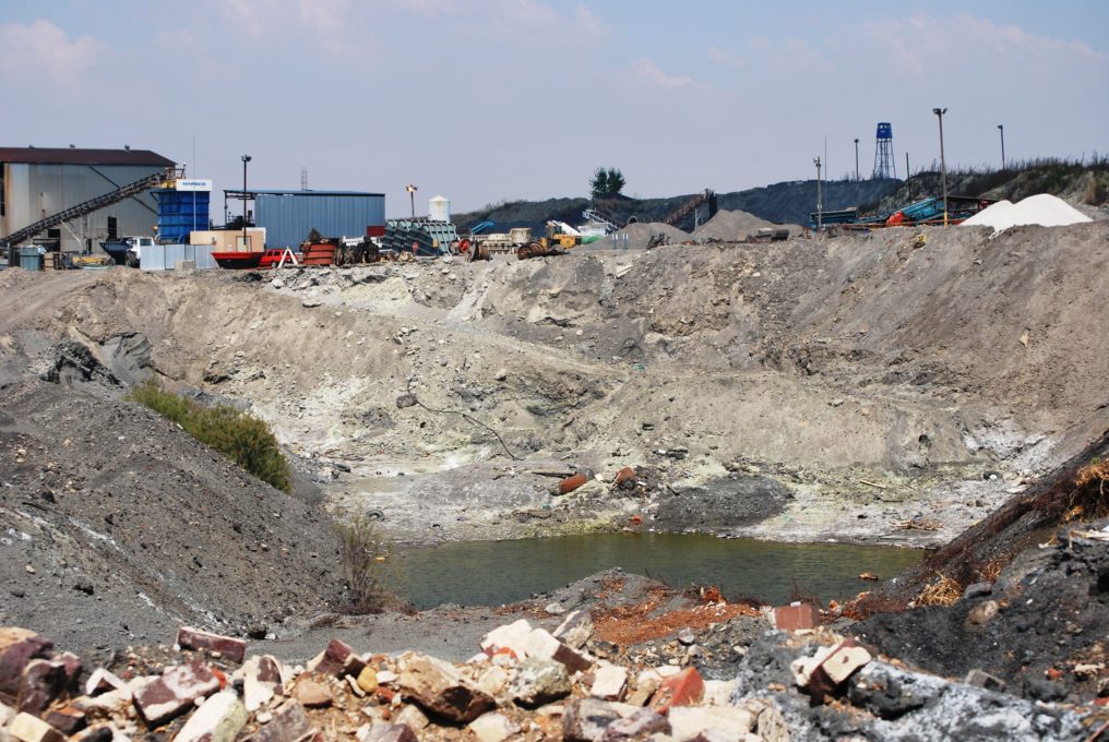 CASE STUDY: Mintails’ strategies of disengagement in South Africa ...